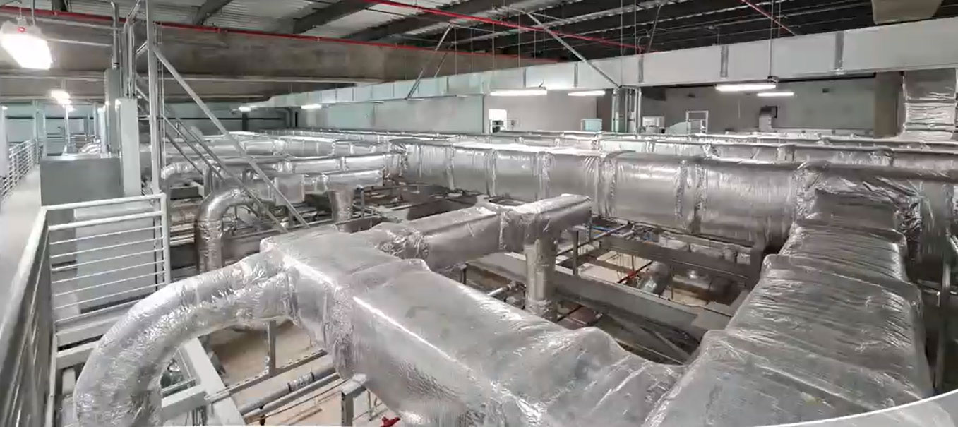 Baylis Medical - Sinergia